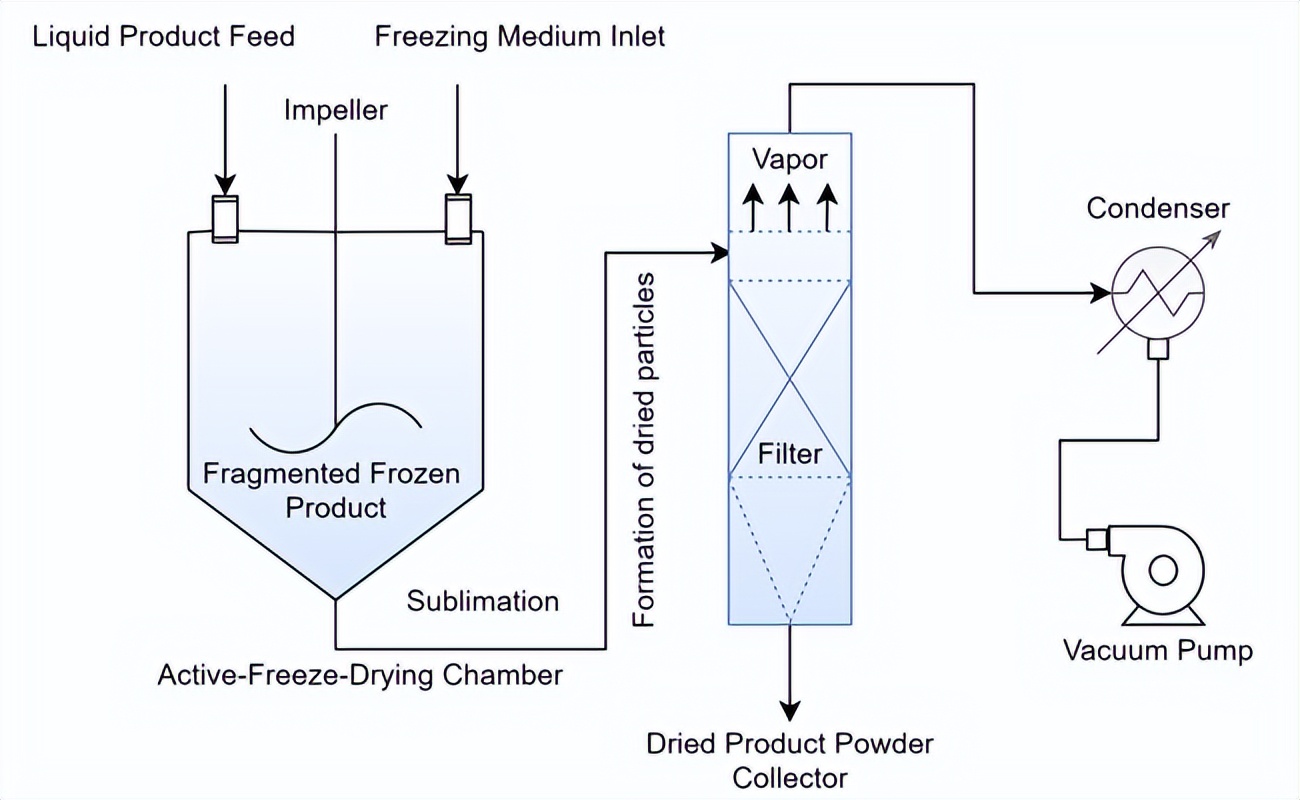 Research progress on freeze-drying process of biological products - iNEWS