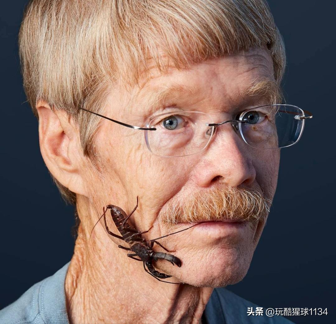 The world's most painful insect stings you'll never want to experience ...