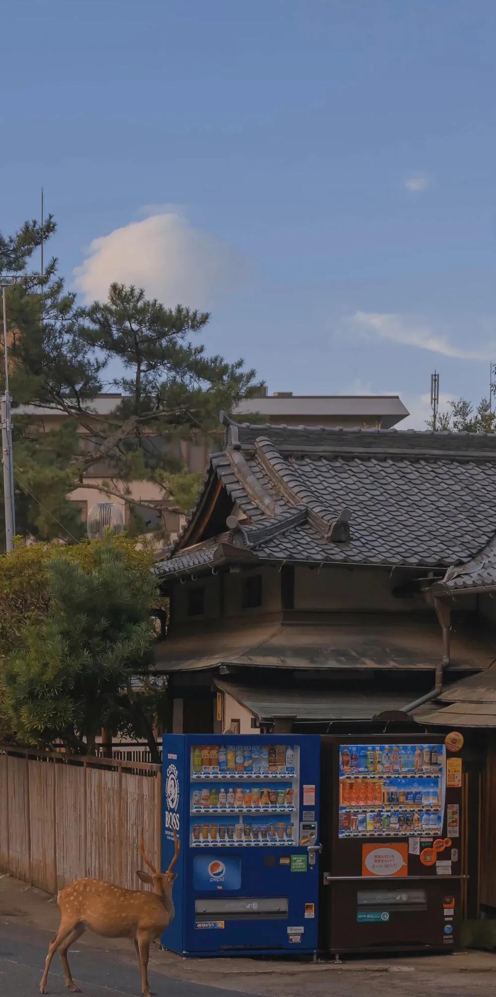 Walk into the small town under Mount Fuji in Japan, and show you a ...