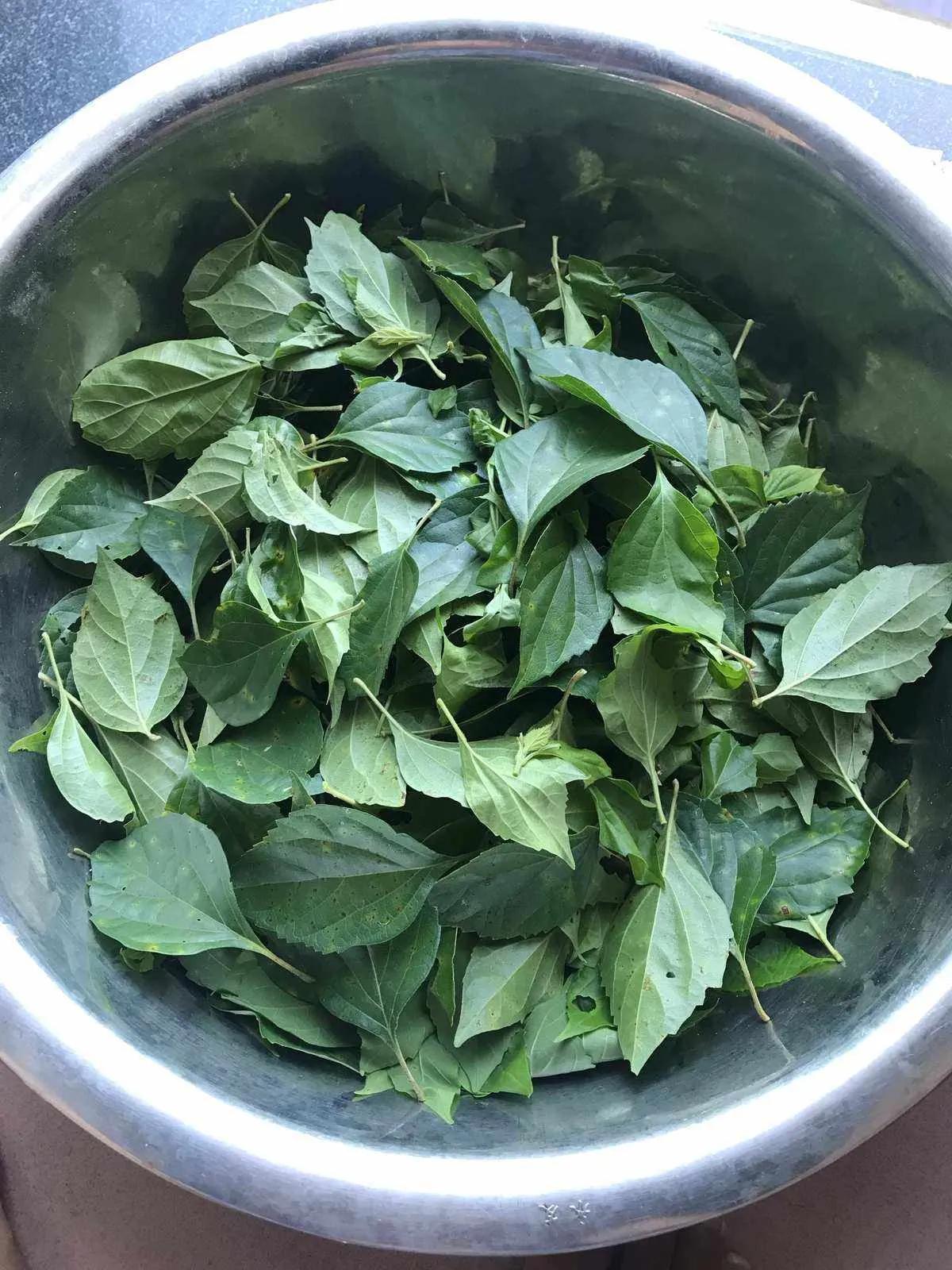 Delicacy in the mountains - chai leaf tofu, cool and refreshing, with a ...