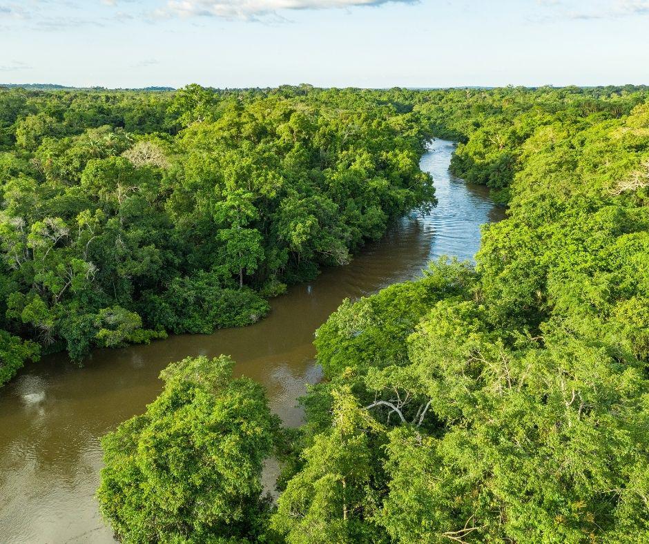 The Great Divide - A major crossing of ape ancestors led to the rise of ...