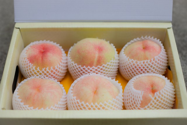 The leader in the south of the Yangtze River - Wuxi Yangshan Peach! - iNEWS