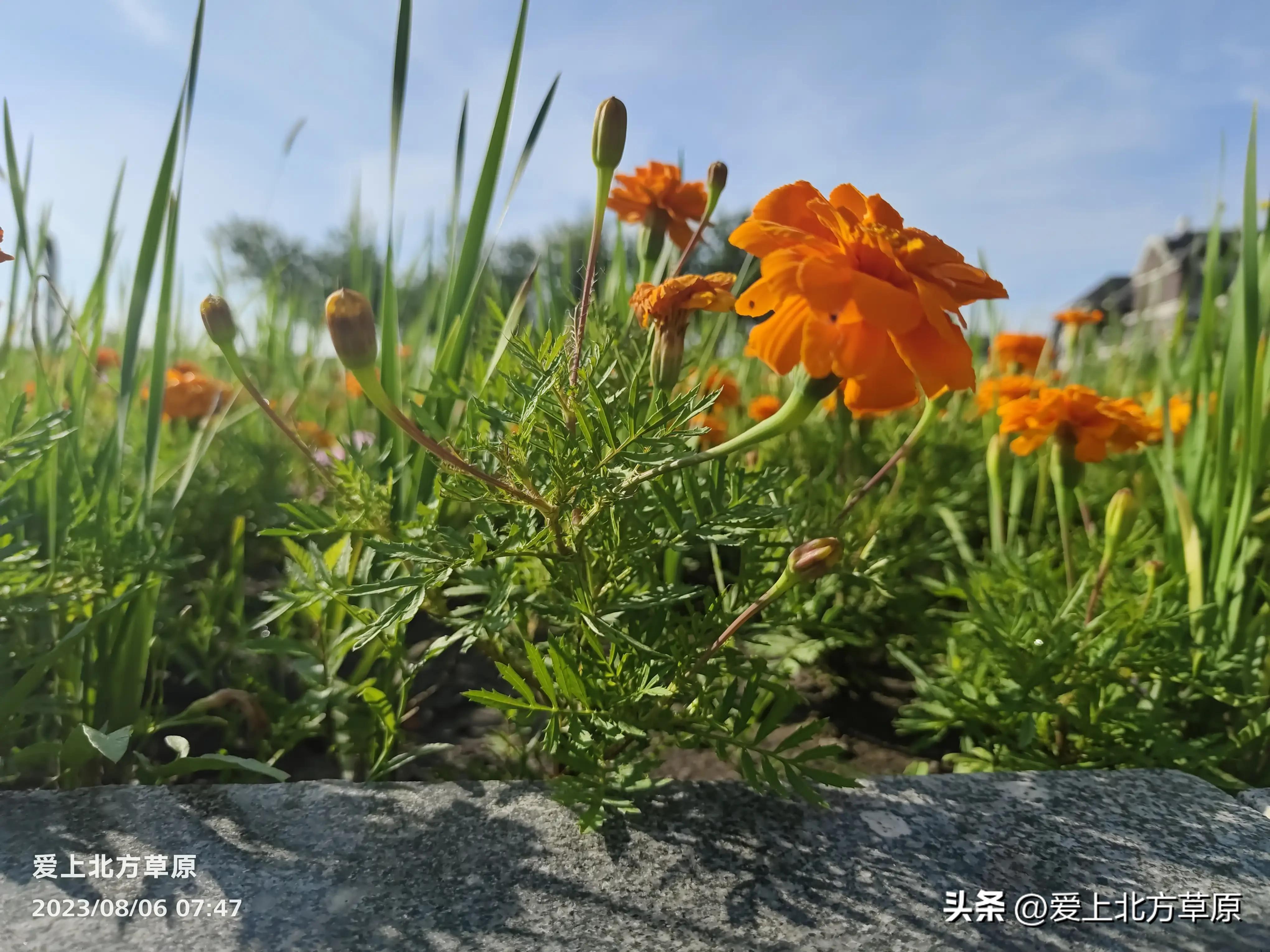 Day 36/365: Dialogue is language, rhetoric, and the lubricant of life ...