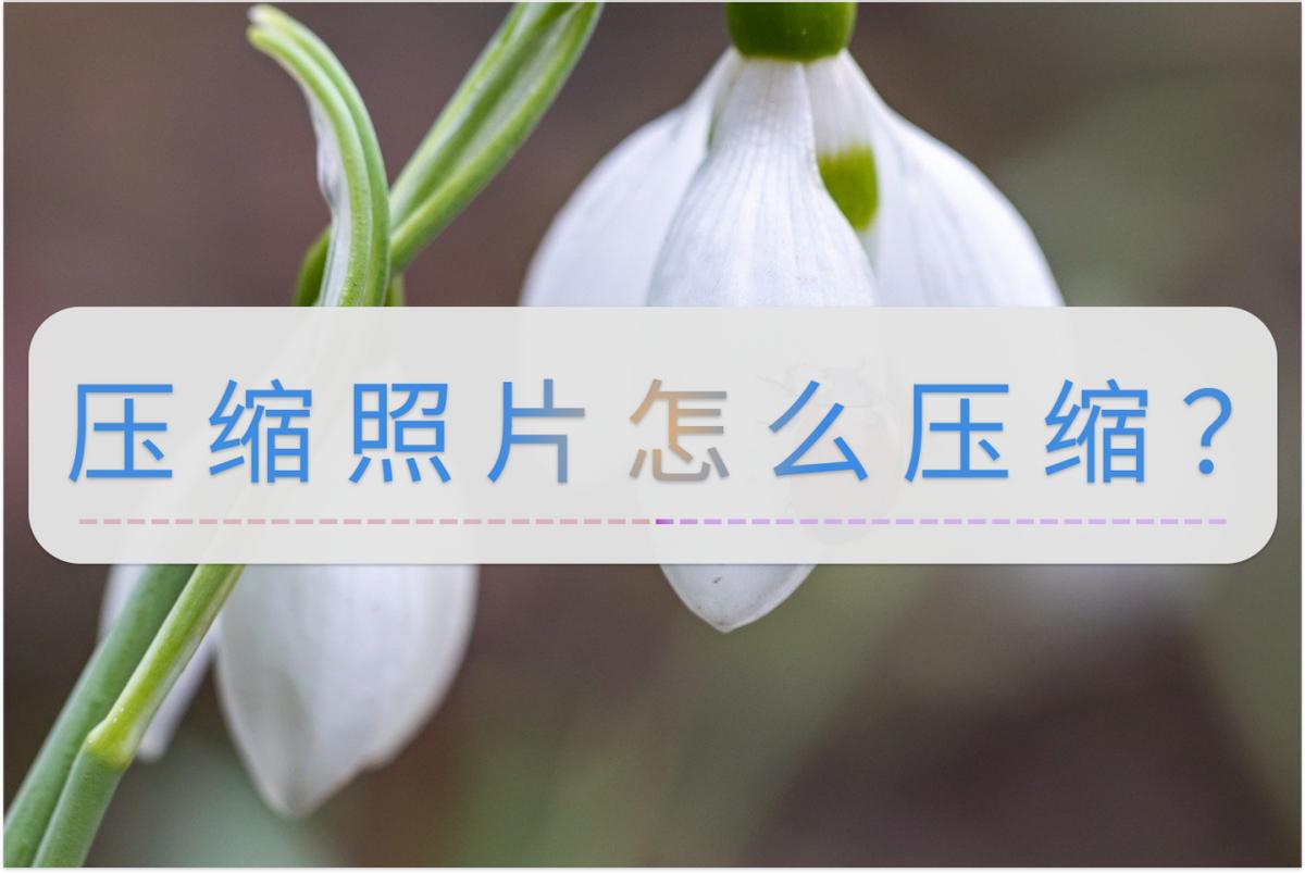 How to compress photos?share a useful method - iMedia