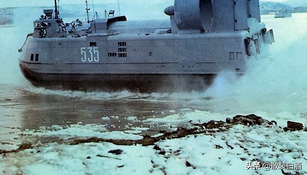 Sea bus or tasteless tasteless?Is it worth it to introduce a Bison ...