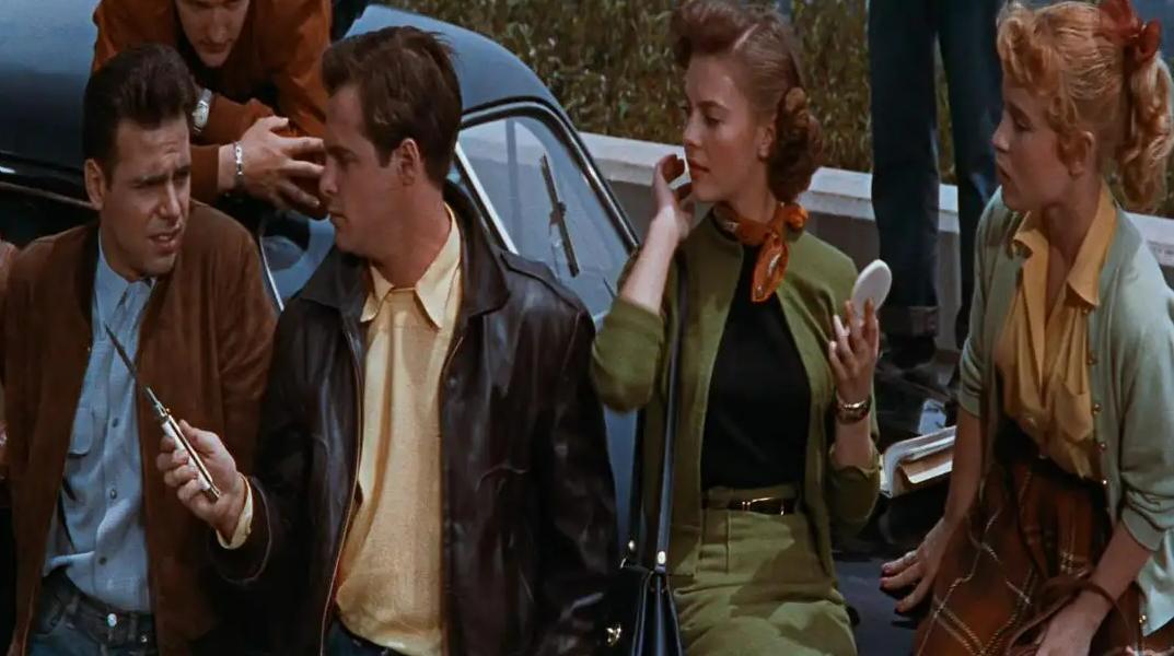 How does Rebel Without a Cause explore the power of senseless rebellion ...