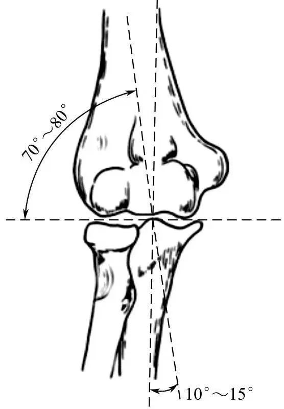 Points for attention in the diagnosis and treatment of elbow fractures ...