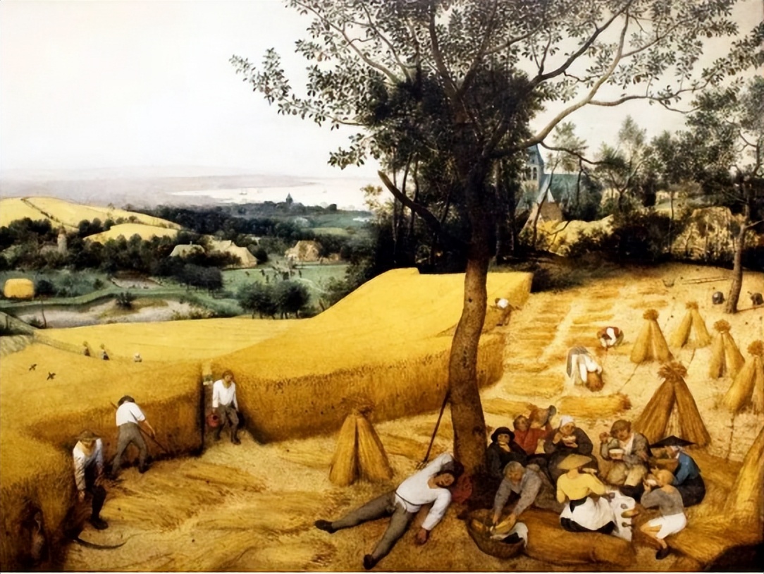 Wheat crops in ancient Egypt: from the vitality of the Nile - iNEWS