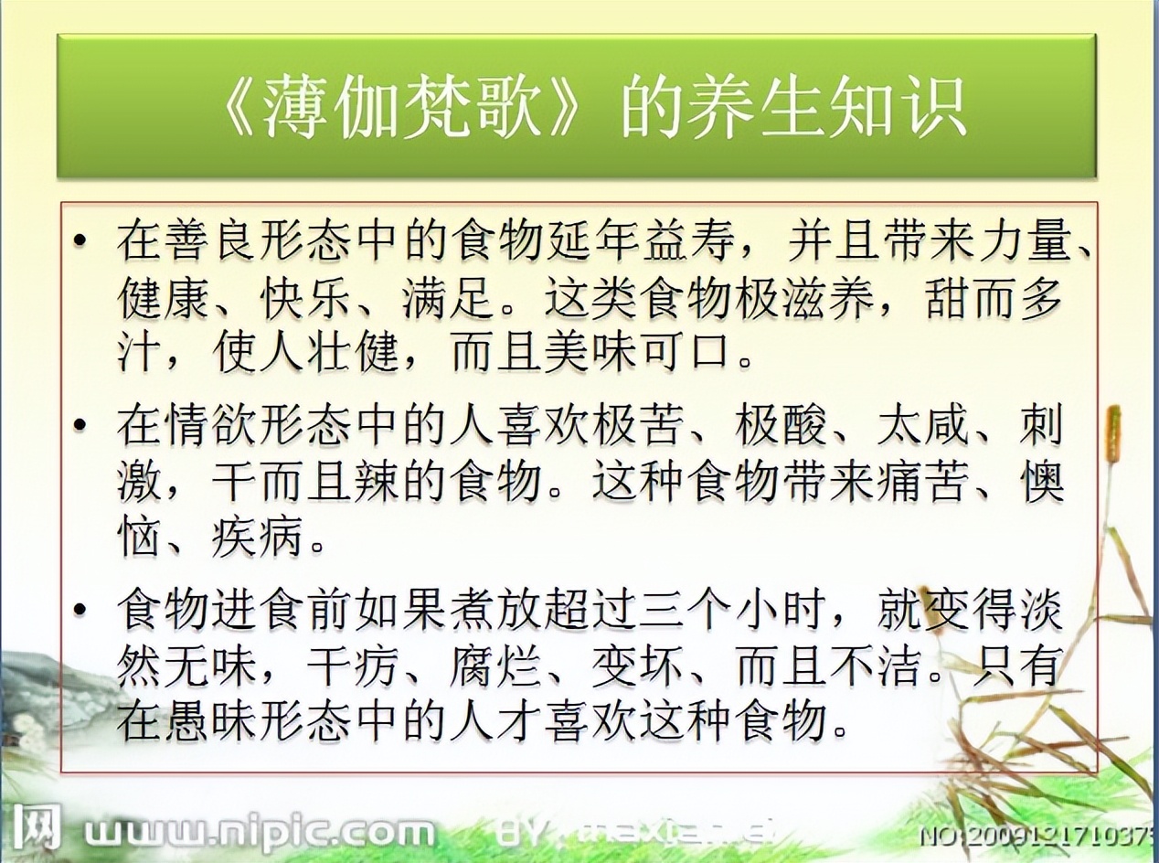 The Source of Art: A Wonderful Interpretation of the Serialization of ...