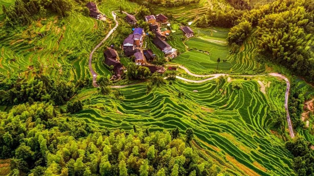 Ziquejie Terraced Fields in Loudi, Hunan - iNEWS