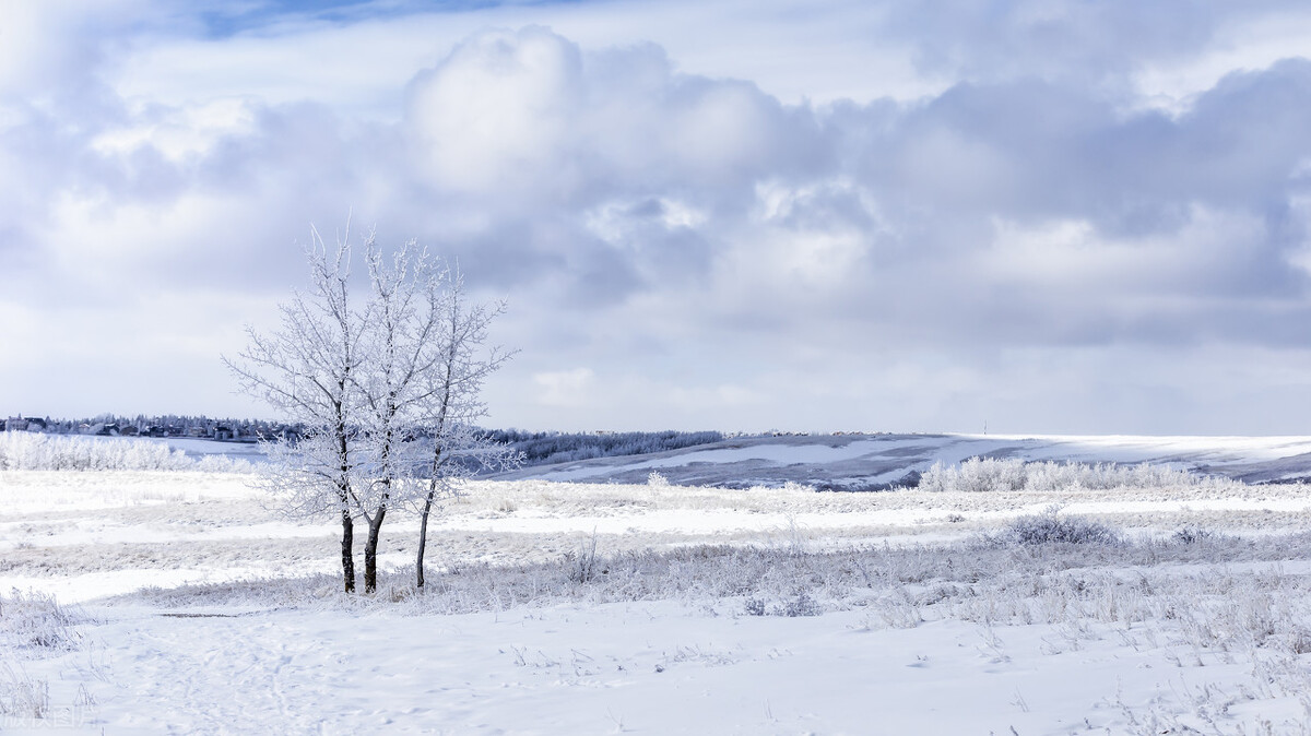 Han Ke: The first victim of the Literary Prison in the Qing Dynasty ...