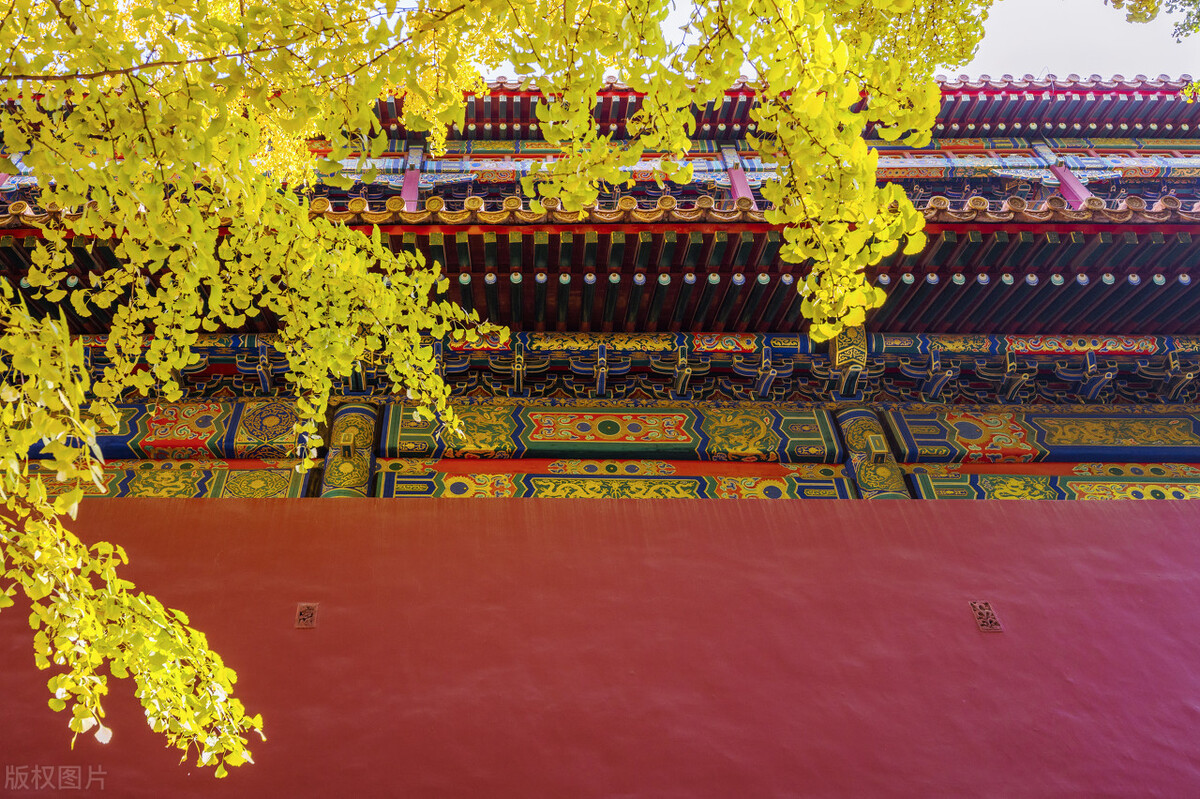 Prose: Yellow is the most precious color in spring - iNEWS