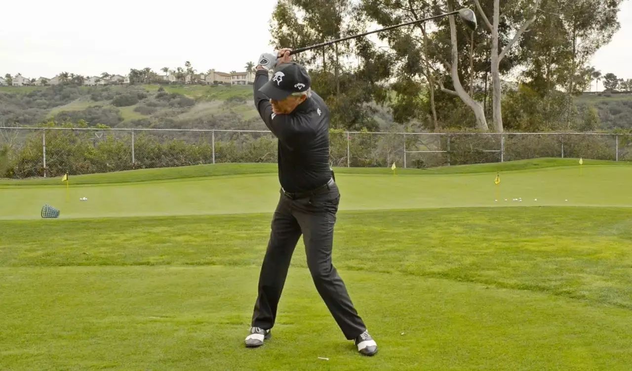 The transition from stillness to movement is smooth, the initiation of ...