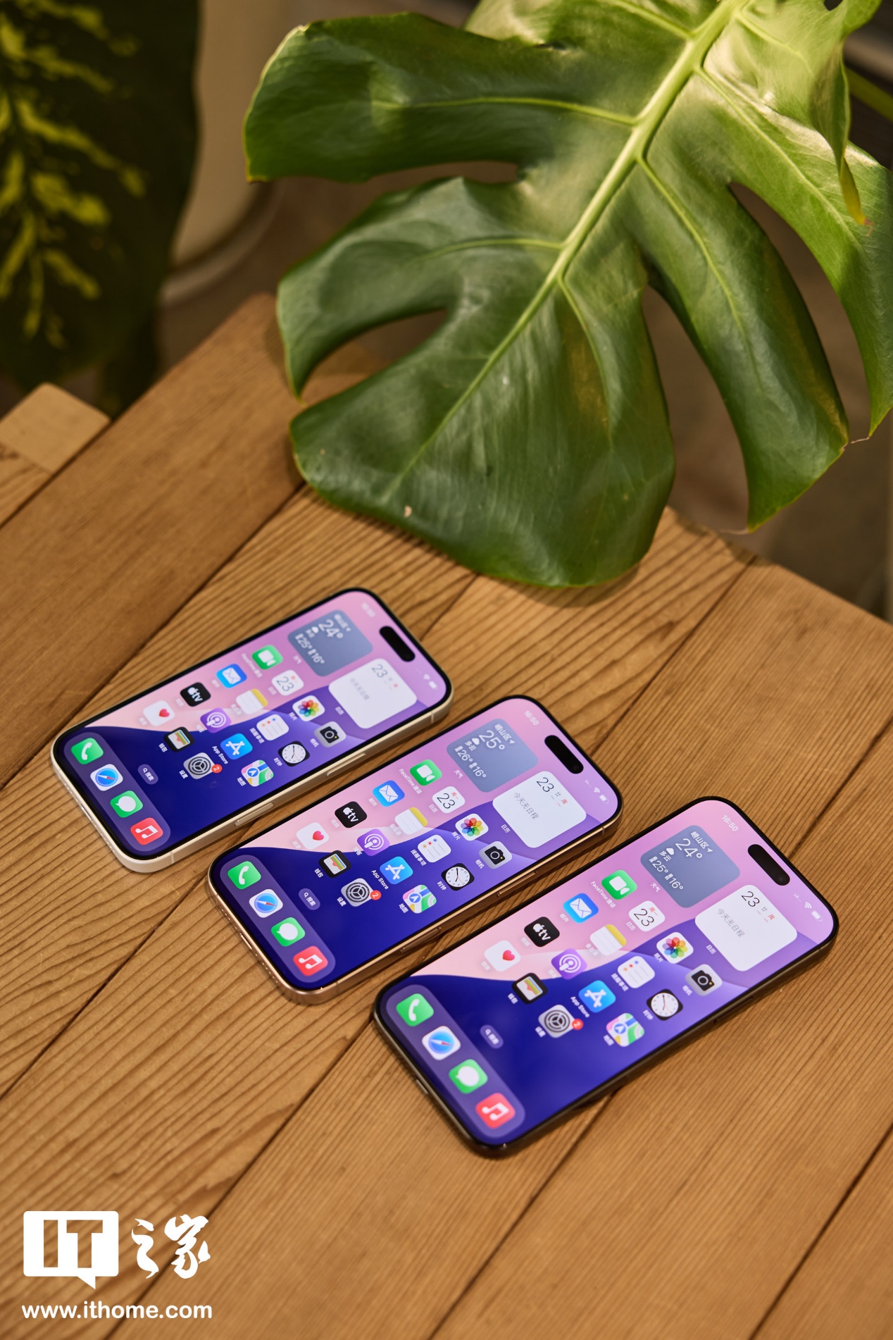 Apple reportedly plans to introduce dual-layer tandem OLED technology ...