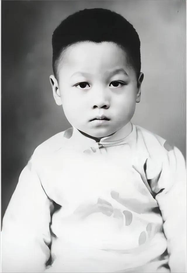 Zhao Yiman's son Chen Yexian: His mother was martyred, his father was ...