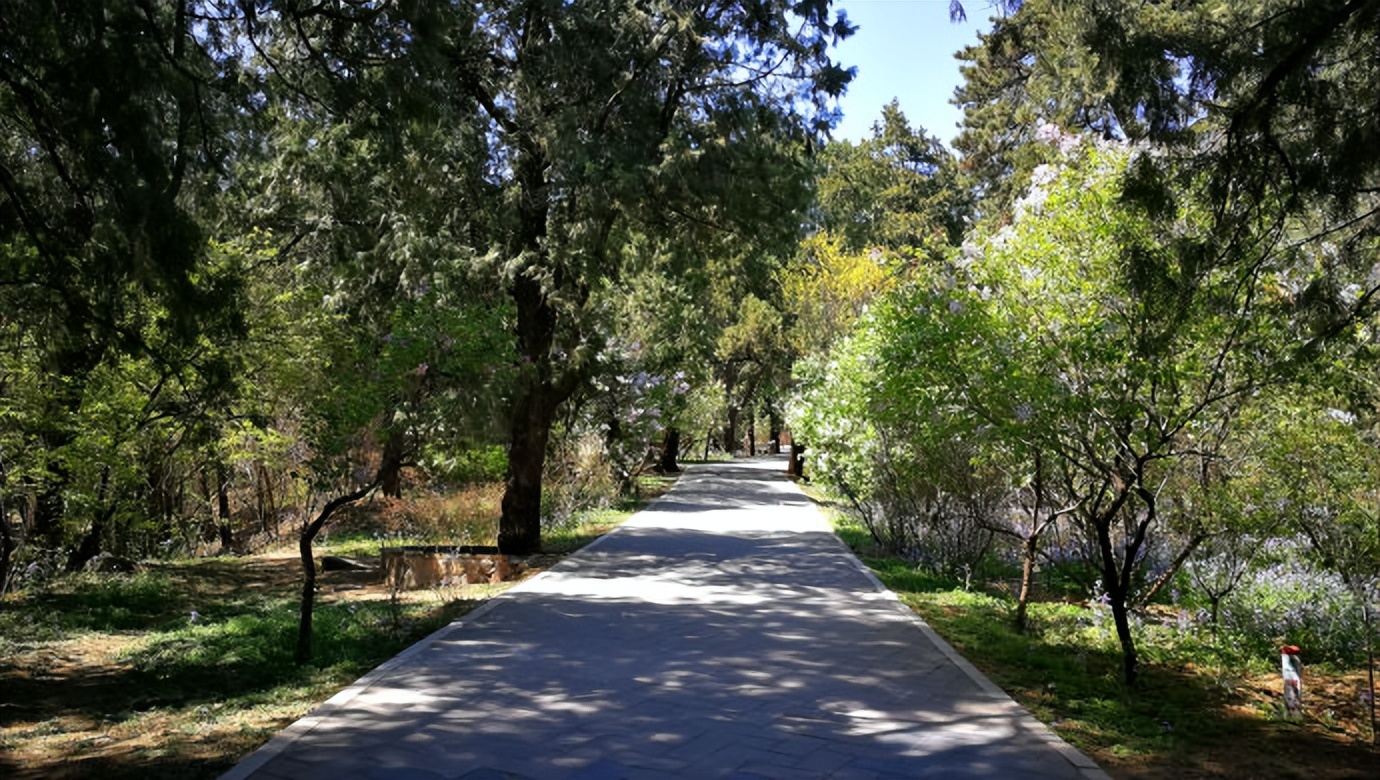 Climbing a ghost sees sorrow - Fragrant Mountain - iMedia