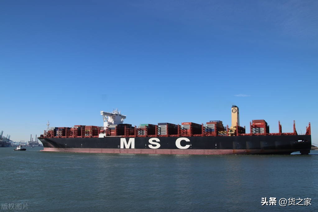 MSC upgrades and relaunches stand-alone services, expands shipping ...