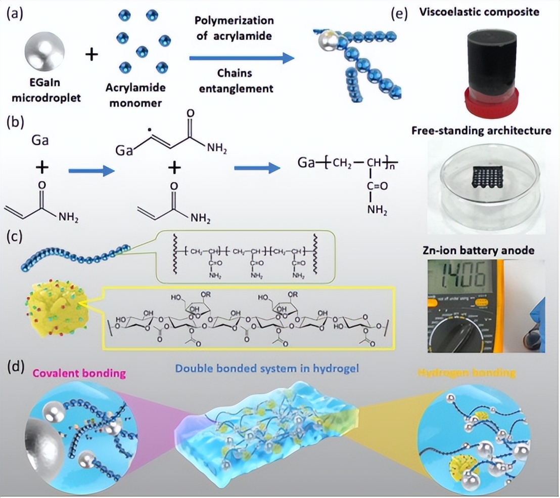 "Adv. Mater.": The Great Use of Composite Hydrogels - iMedia