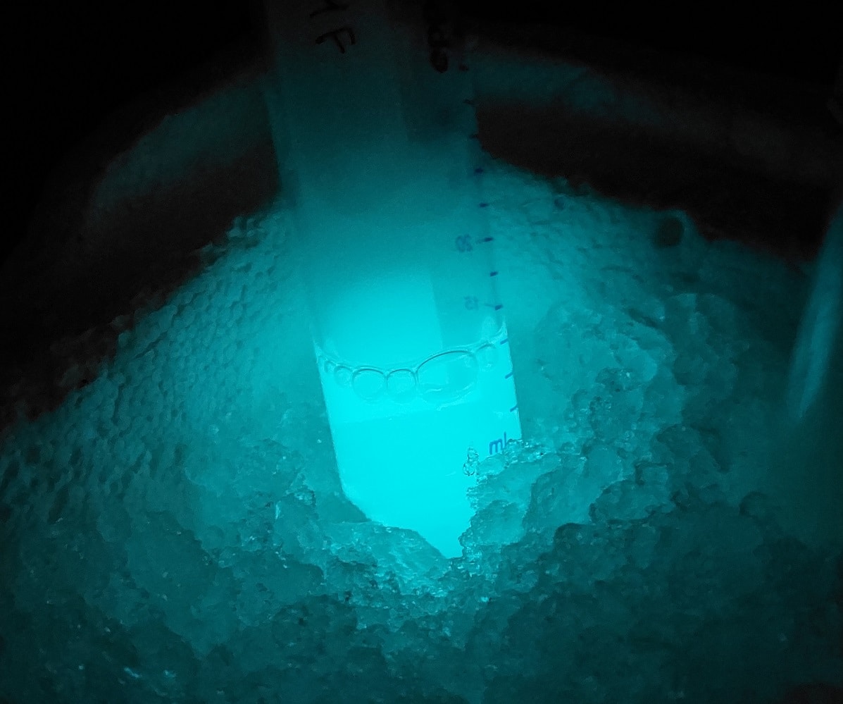 Physicists study structure of light-emitting protein - iNEWS