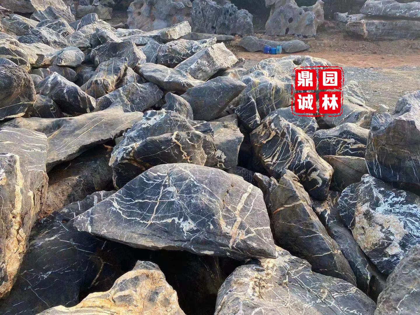 The courtyard lawn is decorated with black Taihu stone, the knowledge ...