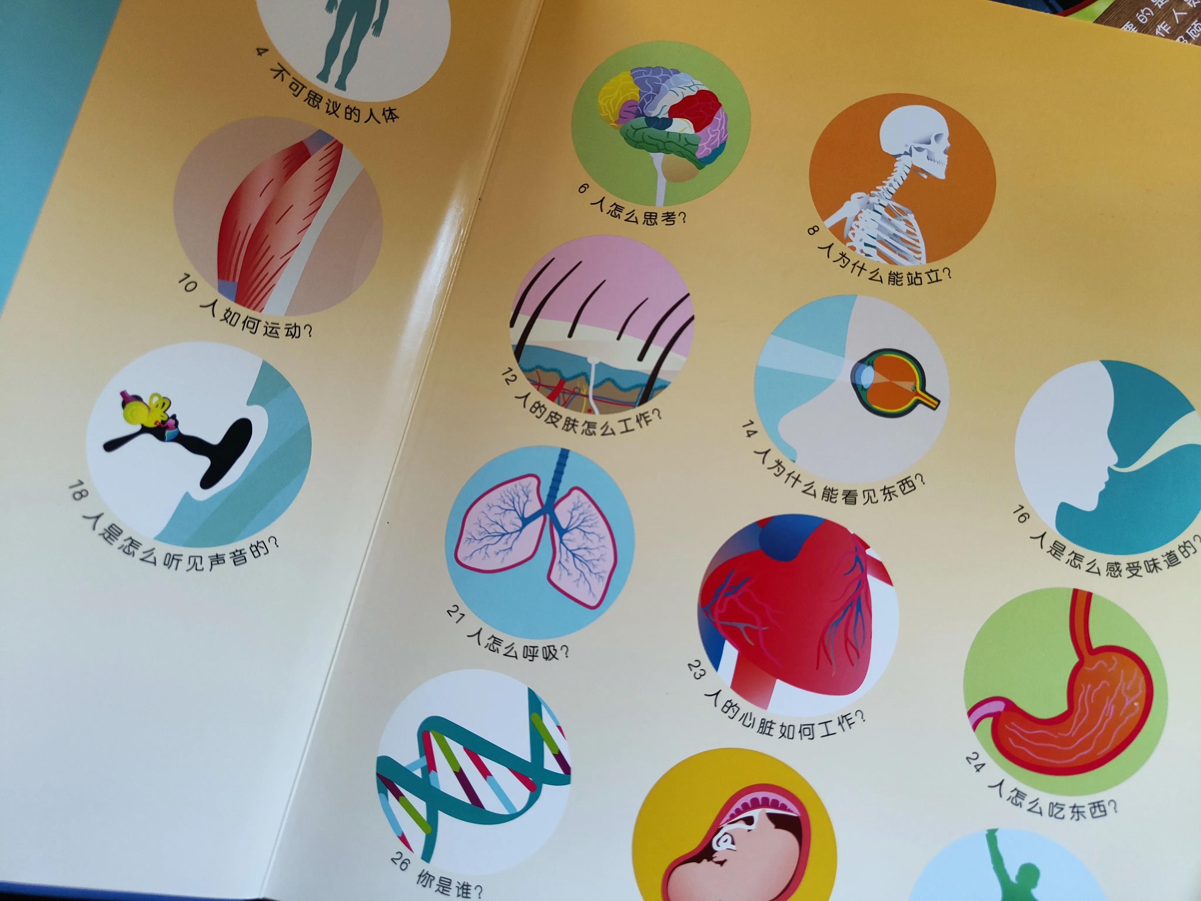 This book is so fun to reveal the secrets of the human body - iNEWS