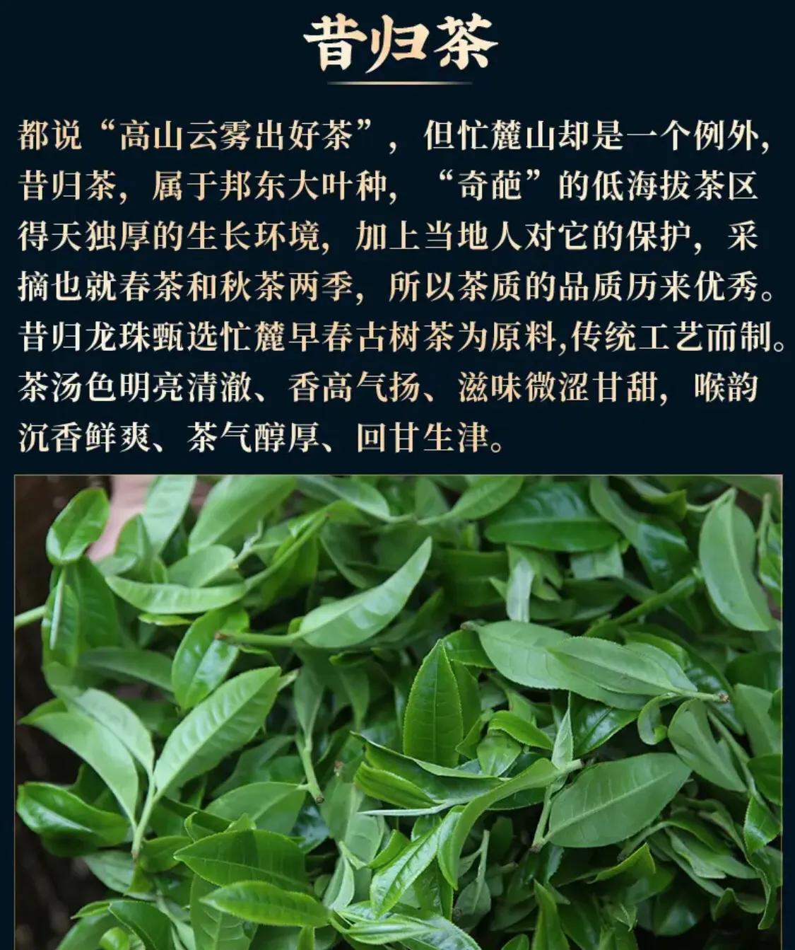 The "Freshest" of Pu'er Tea - Xigui - iNEWS
