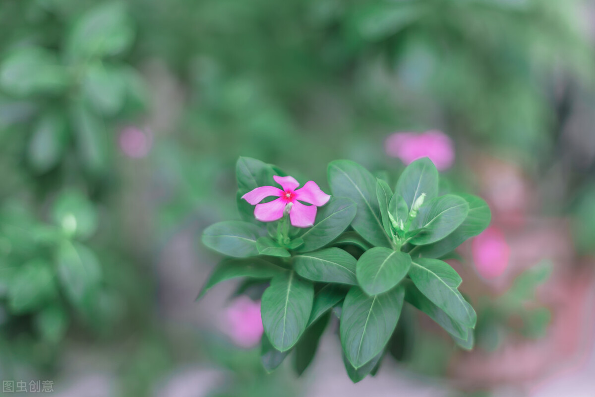 When people are old, they must learn to keep their money, and forget ...