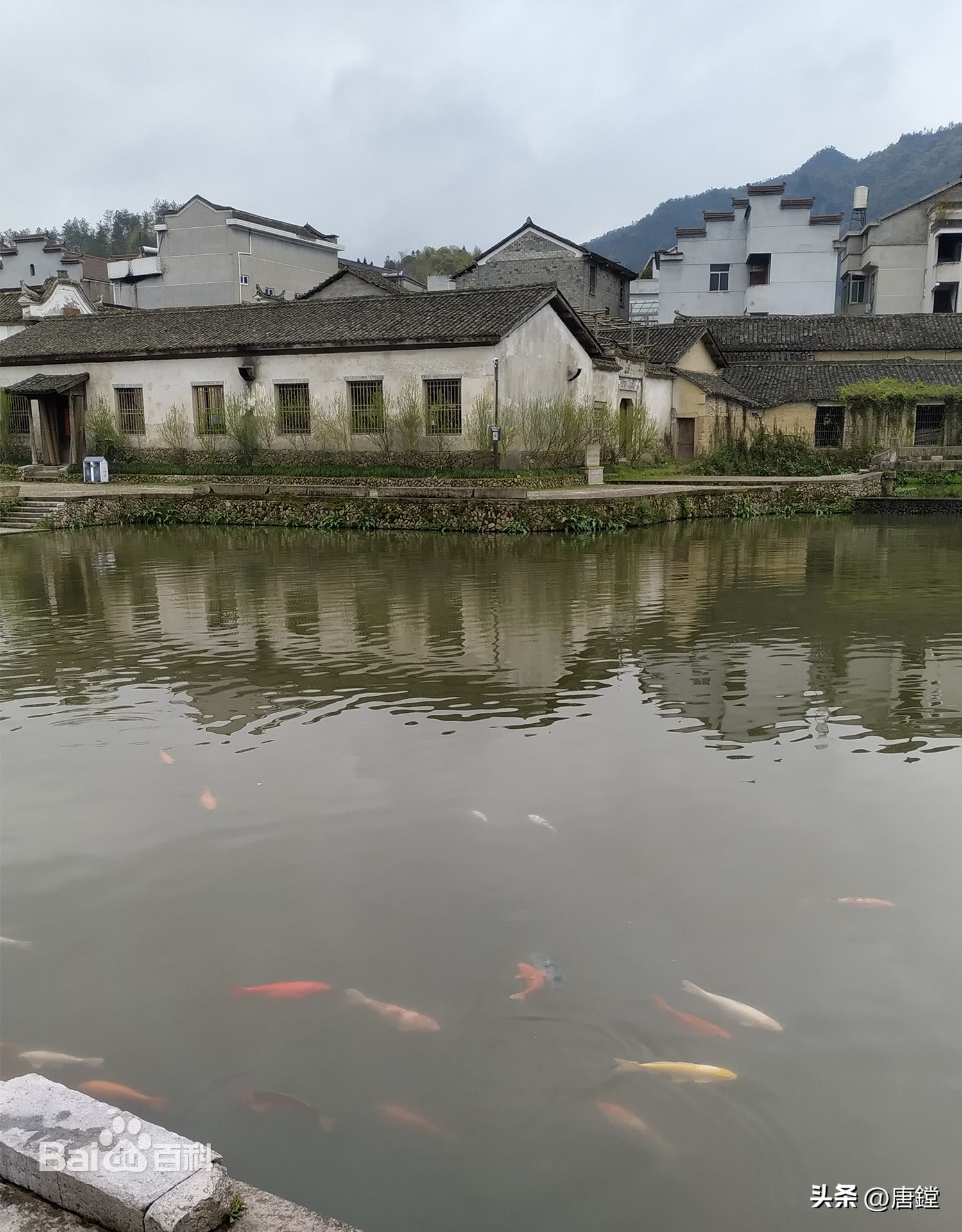 Millennium Heyang Ancient Dwellings: In-depth Exploration of the ...