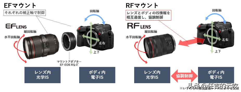 Canon R5C review: a camera that perfectly addresses the needs of ...