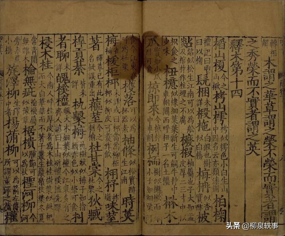 Annotation Erya - iNEWS