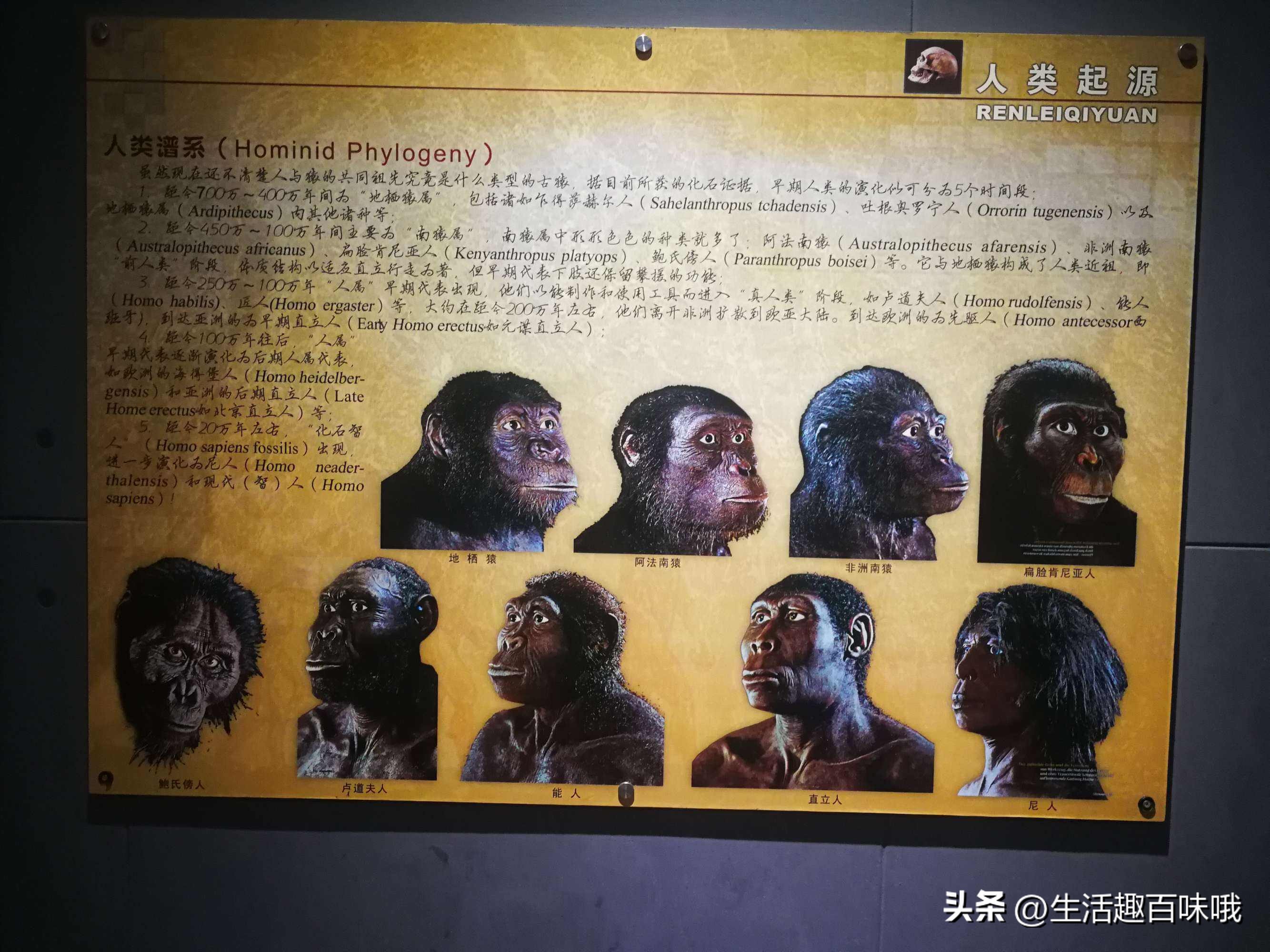 The earliest primitive people in China were Yuanmou people in Yunnan, 1 ...