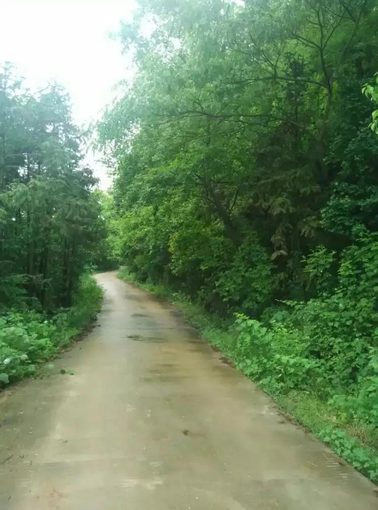 go back home - iNEWS