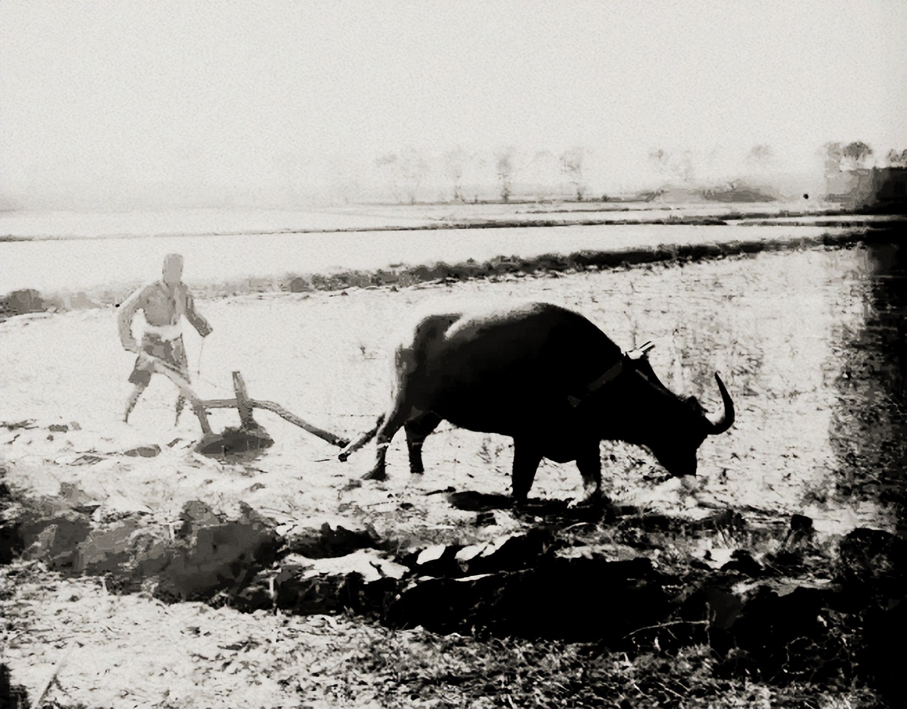 In 1942, a group of Japanese troops raided the village, and the peasant ...