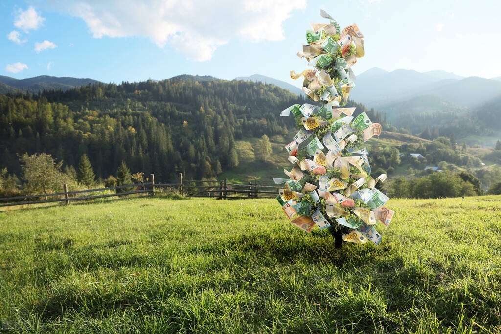 What is the meaning and symbol of the money tree blooming - iMedia