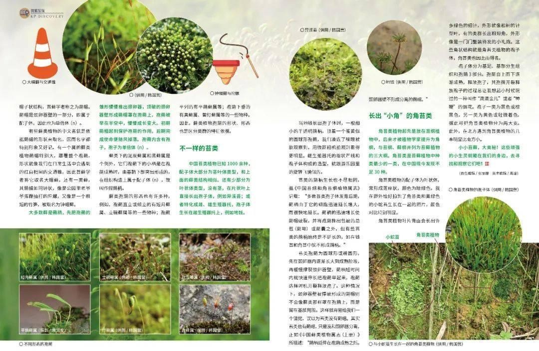 The Korean camp teacher leads you to read the magazine "Knowledge is ...