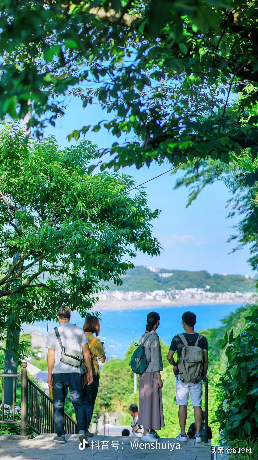 小米12系列驍龍8gen1 plus新機最高還是512 - 資訊咖