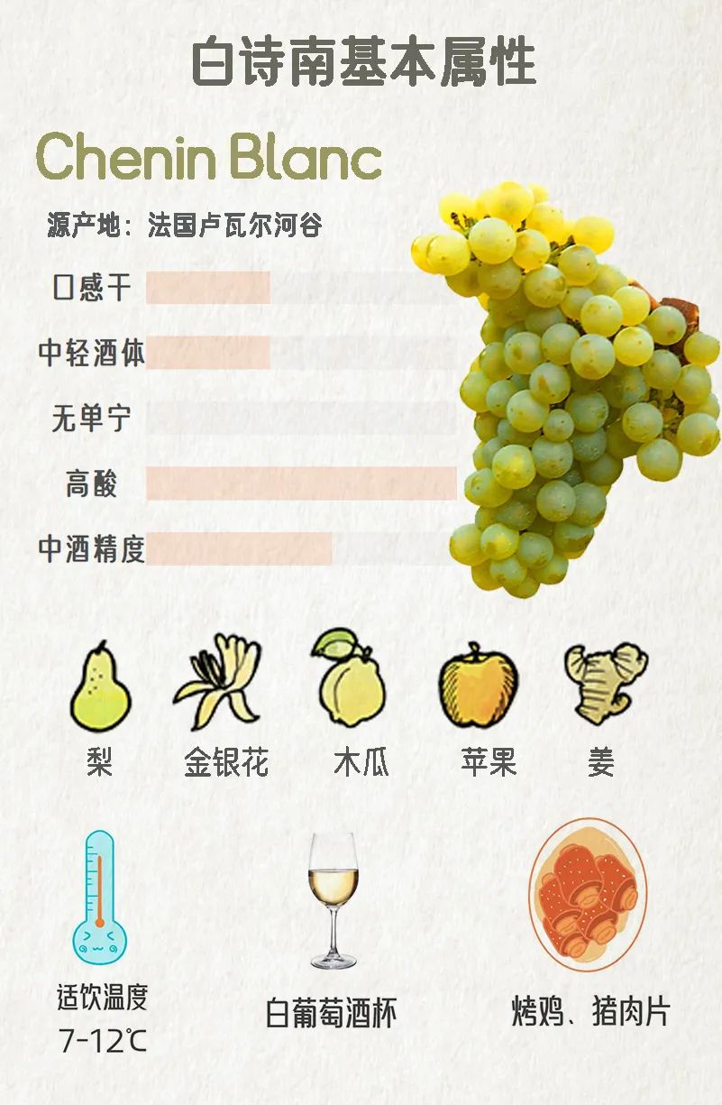 Chenin Blanc: a white grape variety as diverse as Riesling - iNEWS