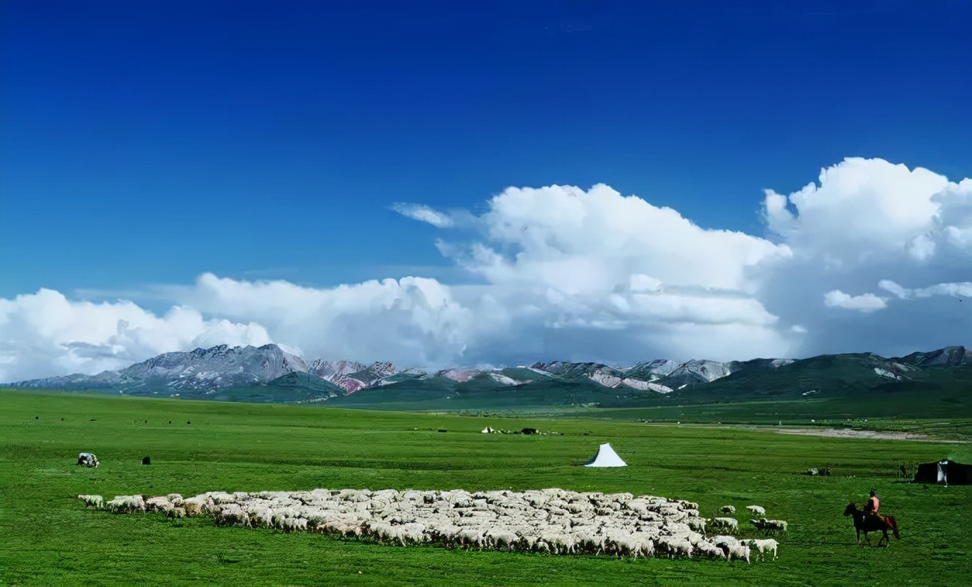 Qilian Mountain Grassland in Zhangye - iNEWS