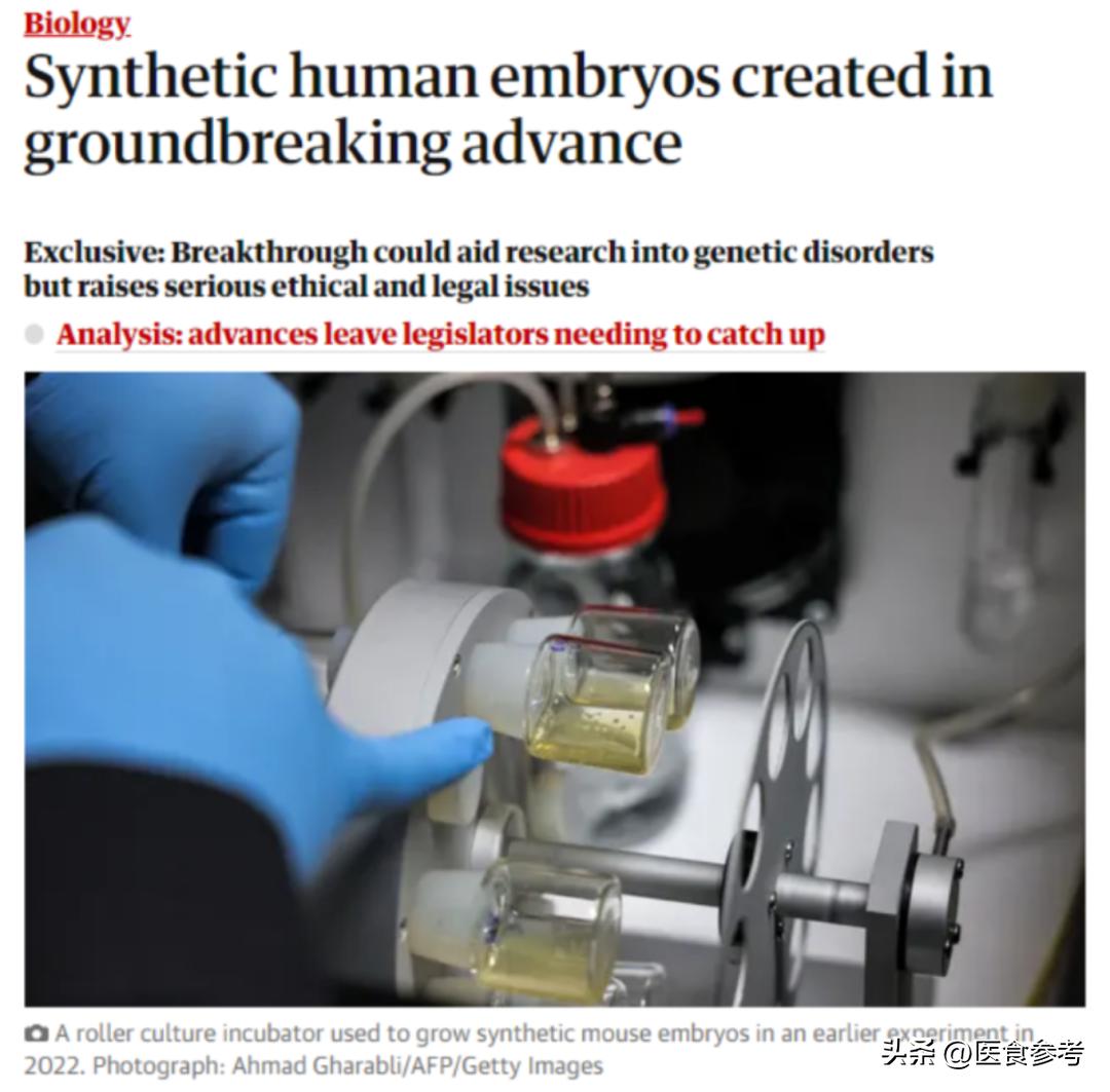 The world's first! Scientists use stem cells to successfully synthesize ...