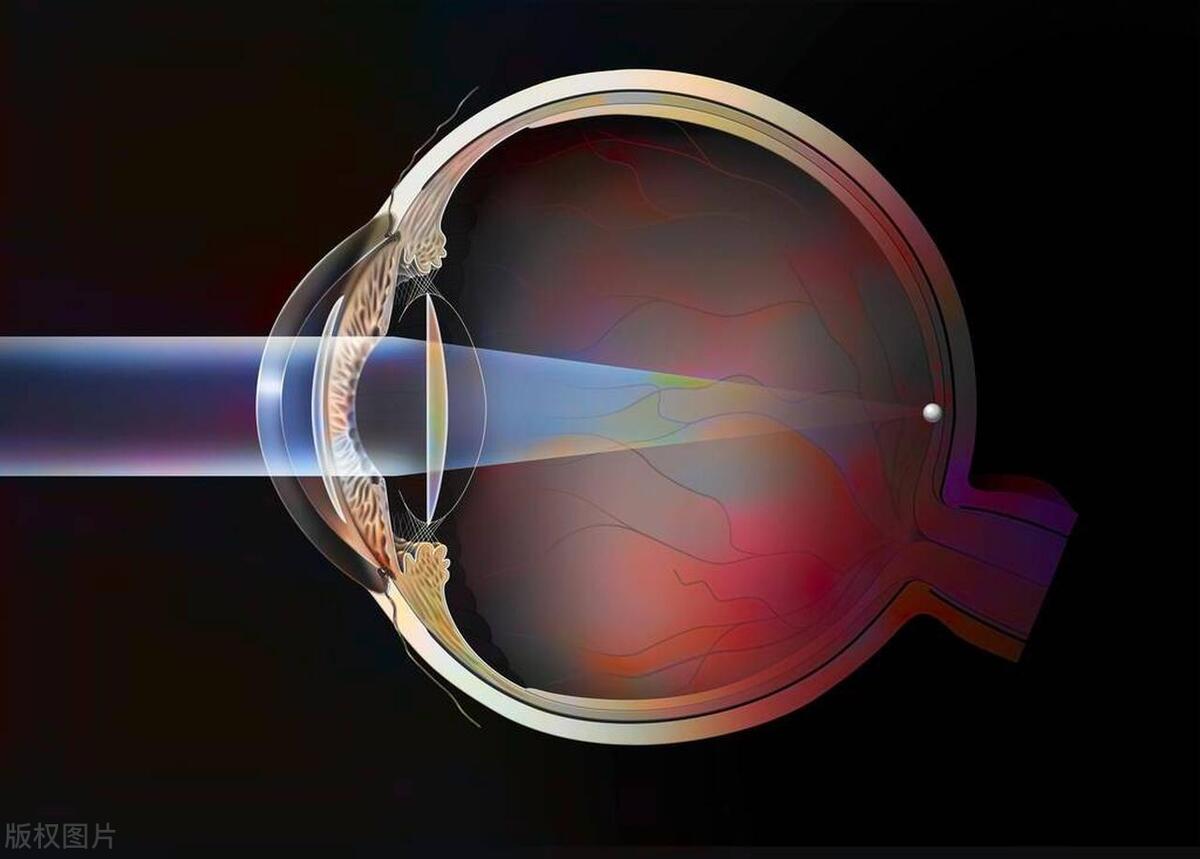 What is the adjustment process of lens contraction? - iNEWS