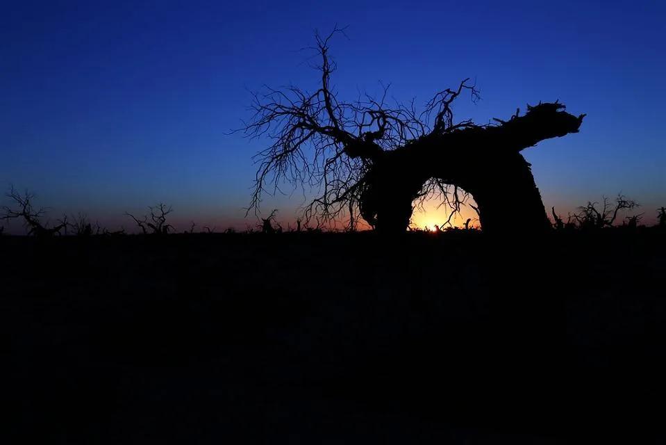 Travel Notes - 20141001 Ejin Banner Strange Forest, Black City - iNEWS