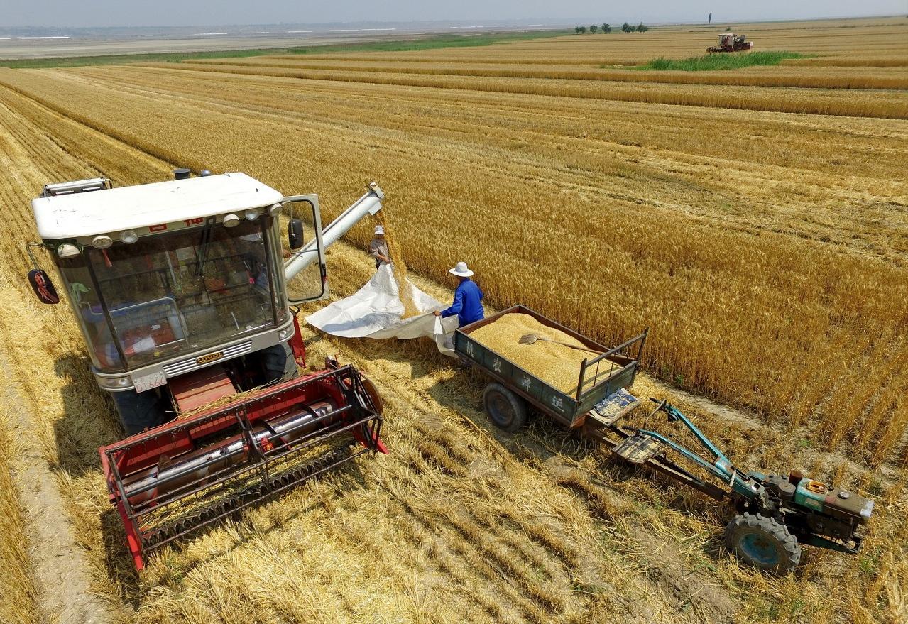 Research on Agricultural Mechanization and Agricultural Labor Flow - iMedia