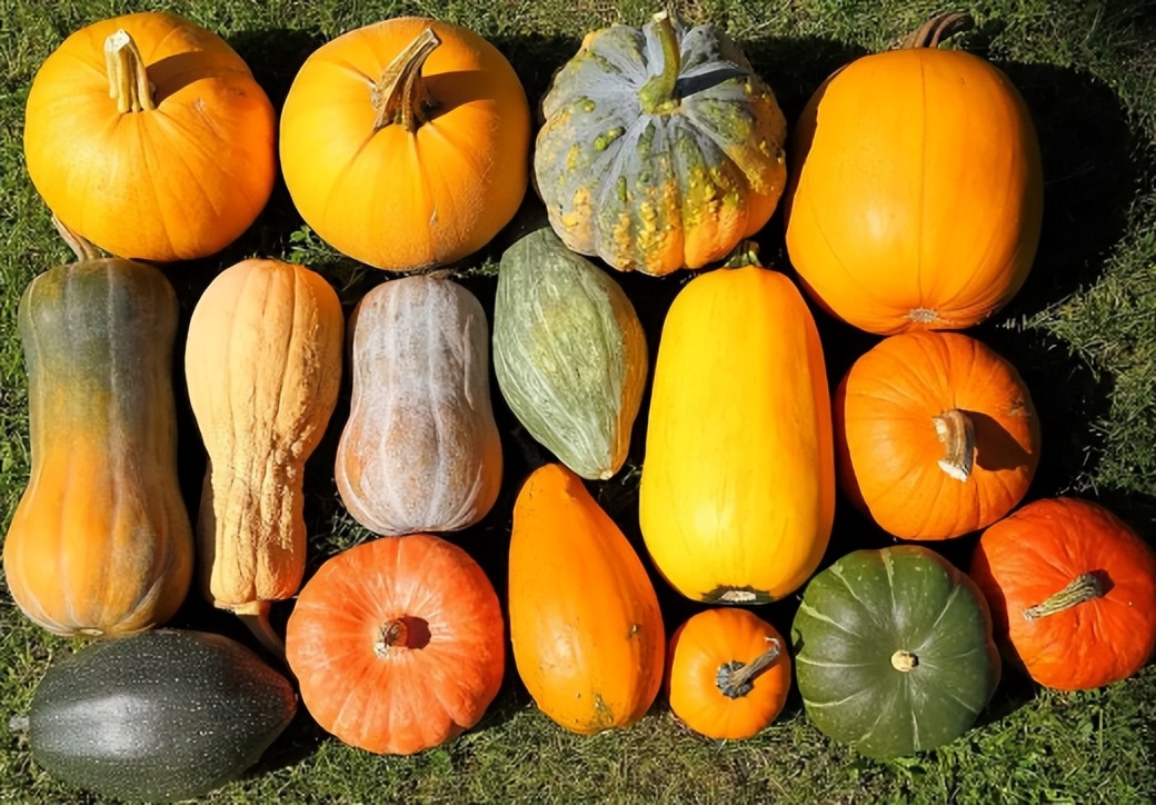Pumpkin net red, Beibei's two fairy ways to eat pumpkin, sweet and soft ...