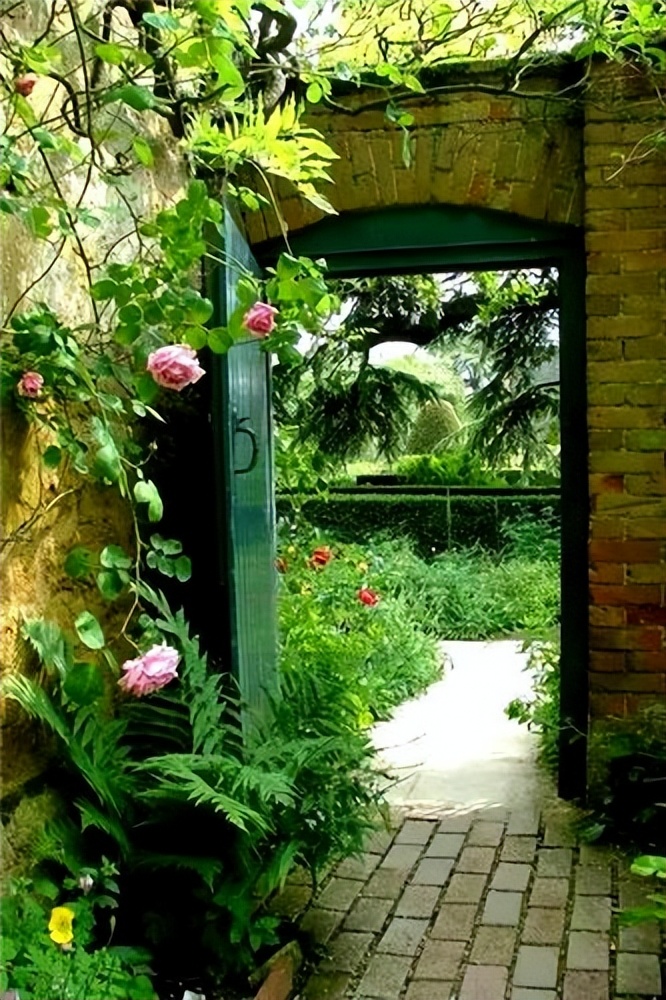 The flowers are blooming in spring, and I want to go out for a walk. I ...