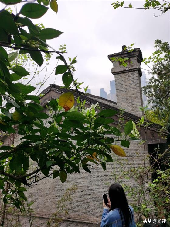 Changjiahui: The Hermitage of the City - iNEWS