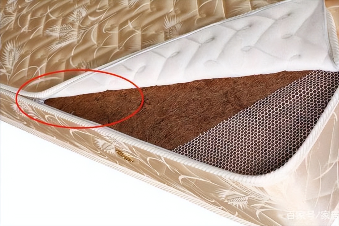 What's the matter with the coir mattress covered with bugs? Why are ...