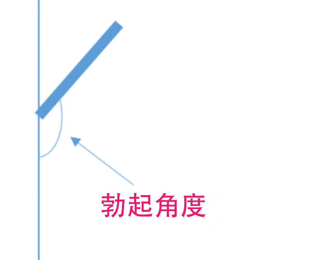 Is it a "good bird", depending on the angle of the erection?Do you know ...