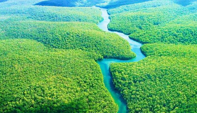 Equatorial Adventures: Discovering the Astronomical Wonders and Natural ...