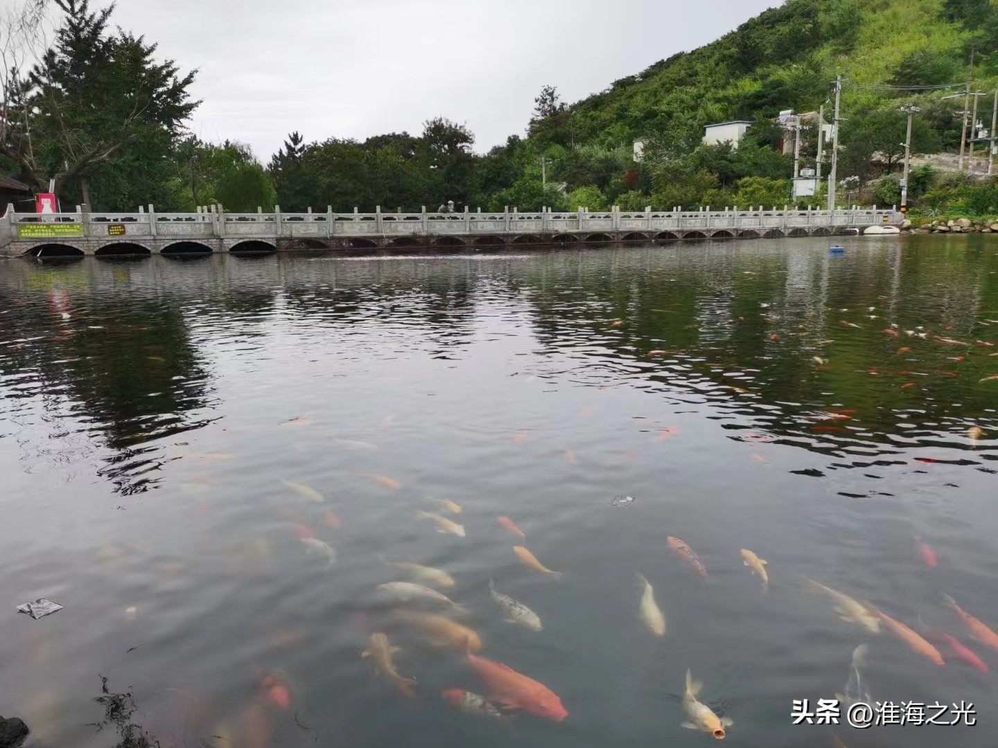 Ma Xing Hong Kong City Tour (six poems and paintings) - iNEWS