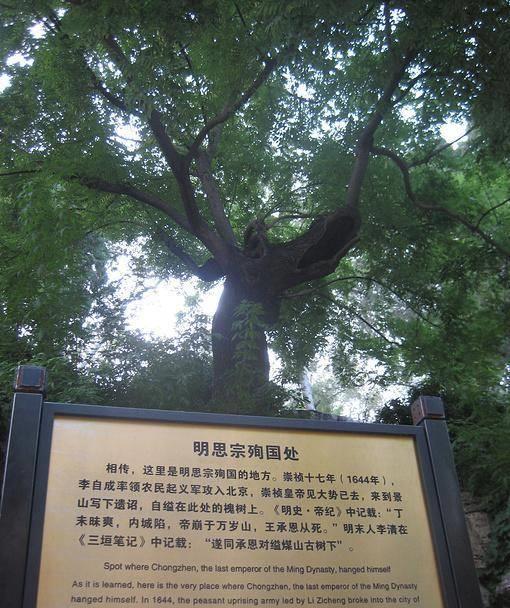Why was the locust tree where Emperor Chongzhen hanged himself bound by ...